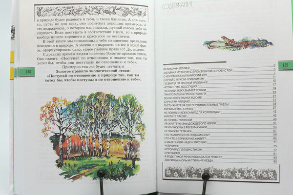 Великан На Поляне И Камень Достоин Уважения - fasralfa